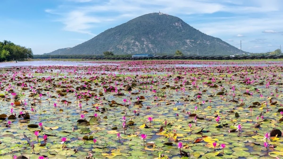 Top 50+ ảnh đẹp Tây Ninh ấn tượng, thu hút